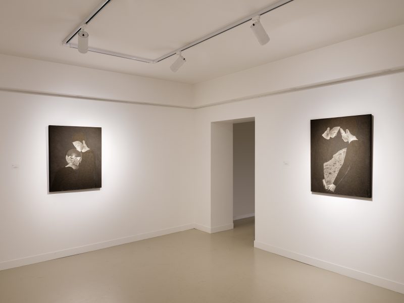 Moonassi - Galerie Vazieux